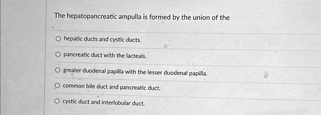 The hepatopancreatic ampulla is formed by the union of the ? hepatic ...