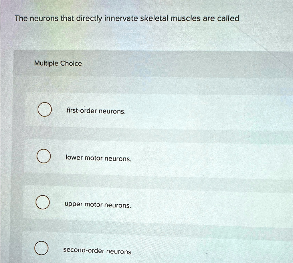 The neurons that directly innervate skeletal muscles are called ...