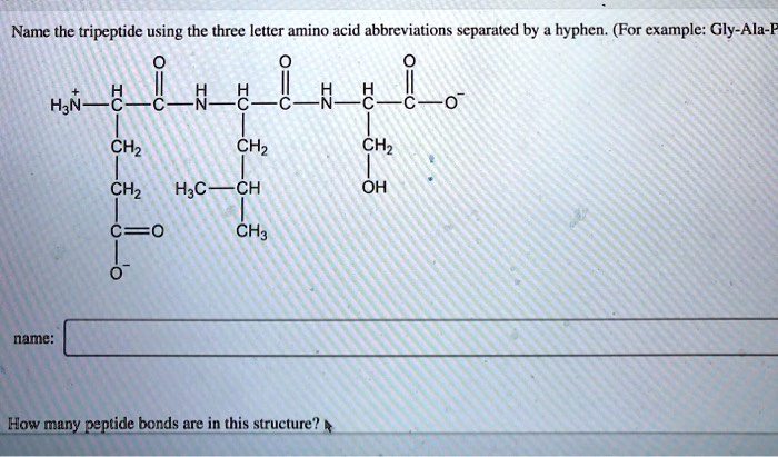 name the tripeptide using the three letter amino acid abbreviations ...