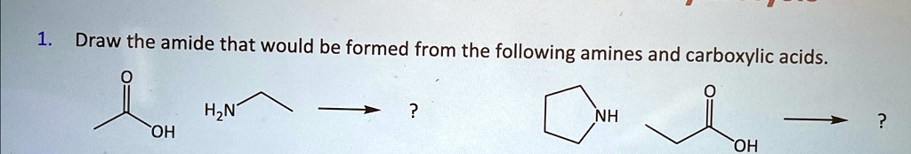 Draw the amide that would be formed from the following amines and ...