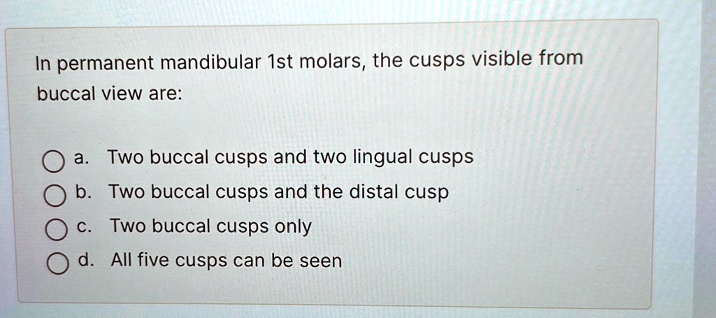 In permanent mandibular 1st molars, the cusps visible from buccal view ...