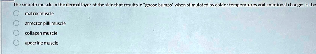 The smooth muscle in the dermal layer of the skin that results in ...