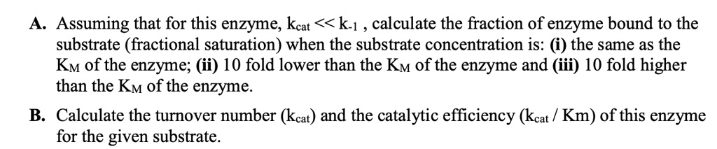 as assuming that for this enzyme kcat k 1 calculate the fraction of ...