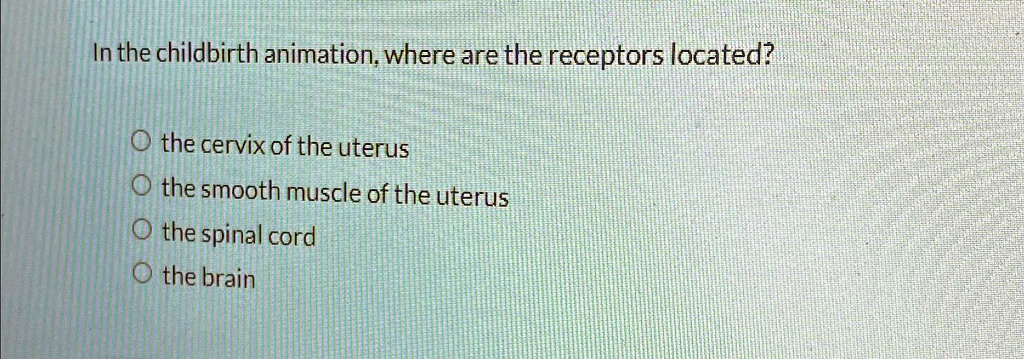 SOLVED: In the childbirth animation, where are the receptors located ...