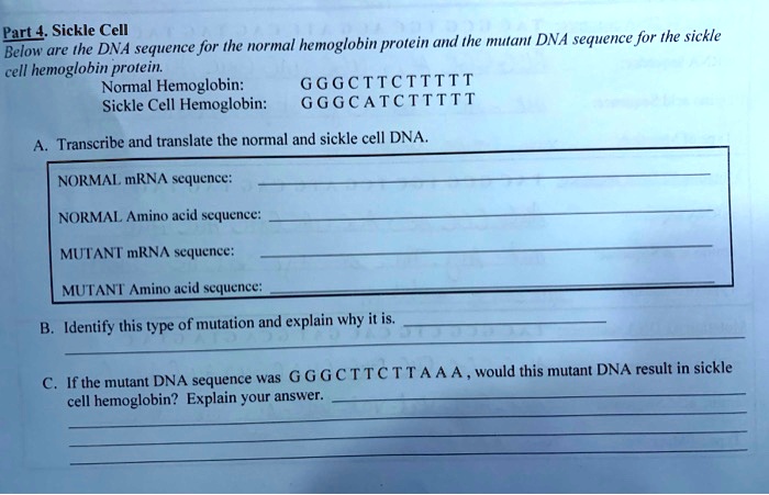 Part 1: Sickle Cell Protein and the Mutant DNA Sequence for Sickle Cell ...