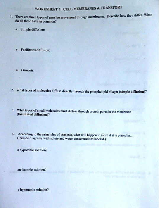 WORKSHEET 7: CELL MEMBRANES TRANSPORT 1. There are three types of ...