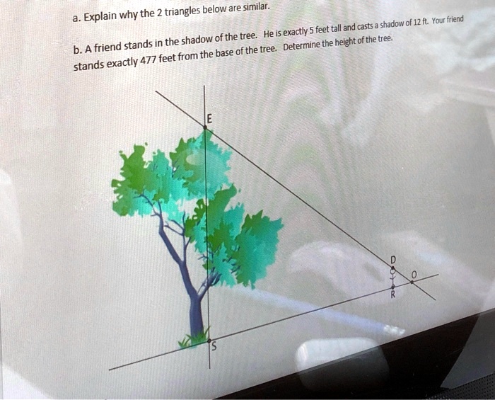 SOLVED: why the triangles below are similar: Explain shadow E 'of 12fL ...