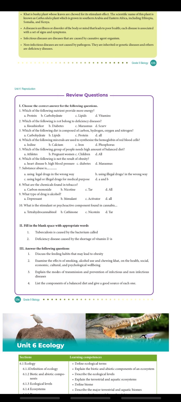 - Khat is bushy plant whose leaves are chewed for its stimulant effect. The scientific name of ...