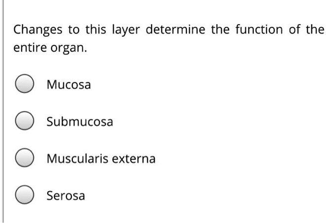 SOLVED: Changes to this layer determine the function of the entire ...