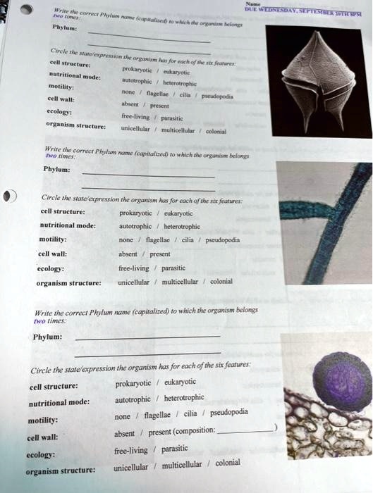 SOLVED: Please answer the following for biology: Write the correct ...