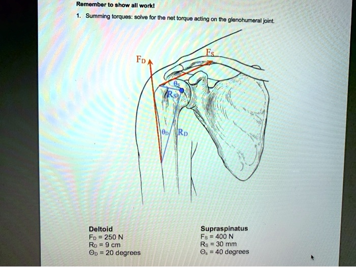 SOLVED:Ramember to show all workl Summing torques: solve for the net ...