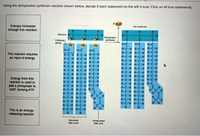 SOLVED: Using the dehydration synthesis reaction shown below, decide ... SOLVED: Using the dehydration synthesis reaction shown below, decide ...