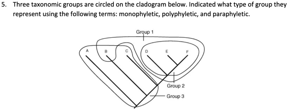 5. Three taxonomic groups are circled on the cladogram below. Indicated ...