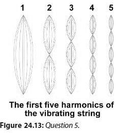 1 2 3 4 5 The first five harmonics of the vibrating string Figure 24.13 ...