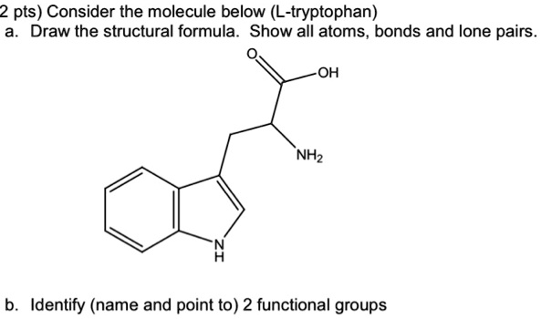 SOLVED: 2 pts) Consider the molecule below (L-tryptophan) Draw the ...