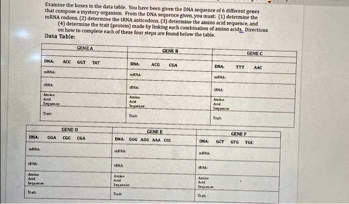 Examine the boxes in the data table. You have been given the DNA ...