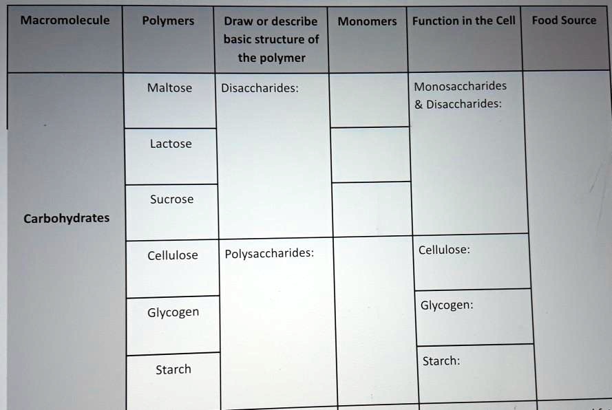 macromolecule polymers draw or describe basic structure of the polymer ...