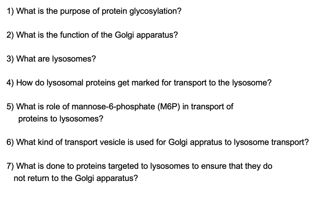 1 what is the purpose of protein glycosylation 2 what is the function ...
