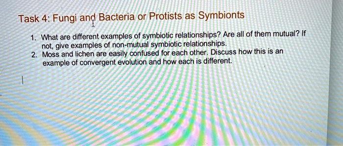 task 4 fungi ang bacteria or protists as symbionts what are different ...