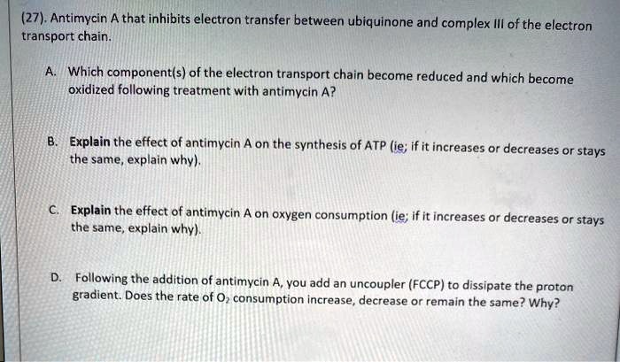 Antimycin A that inhibits electron transfer between...