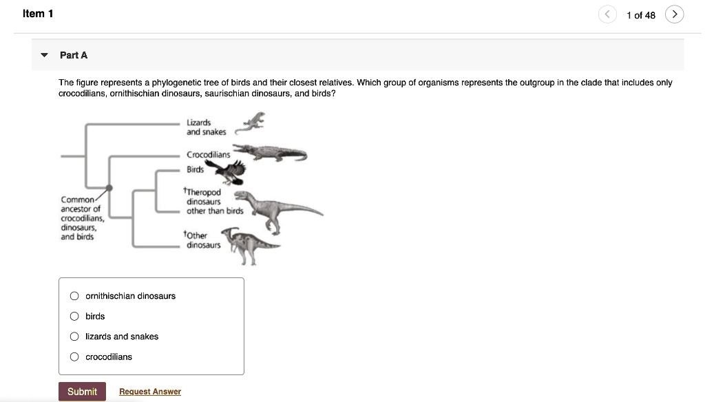 Item 1 of 48 part a the figure represents phylogenetic tree...
