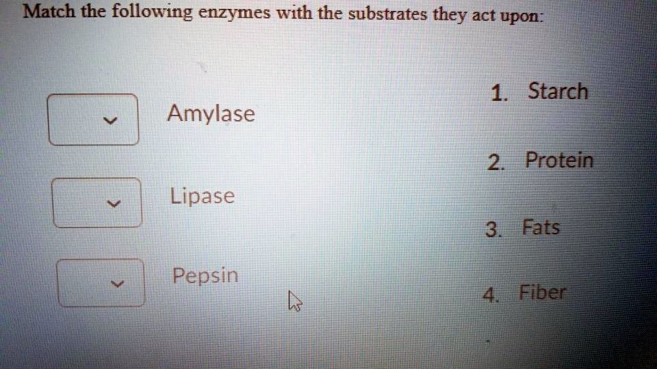 Match the following enzymes with the substrates they act upon: 1 ...