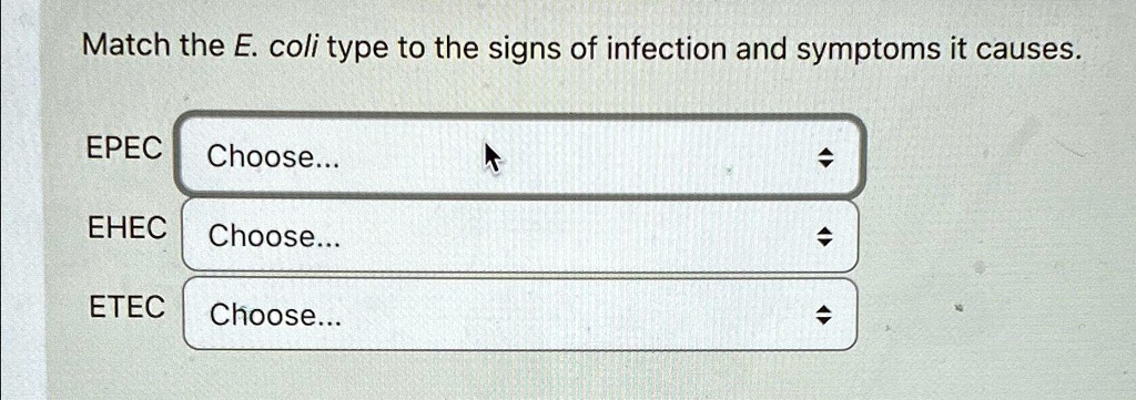 Match the E. coli type to the signs of infection and symptoms it causes ...
