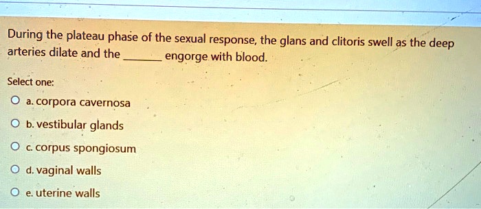 SOLVED: During the plateau phase of the sexual response, the glans and ...