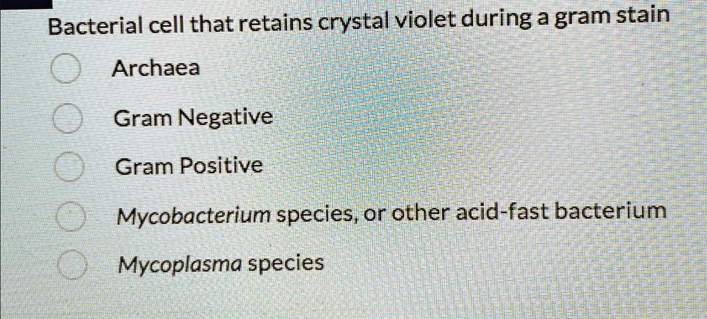 SOLVED: Bacterial cell that retains crystal violet during a gram stain ...
