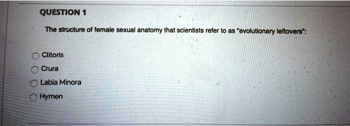 SOLVED: The structure of female sexual anatomy that scientists refer to ...