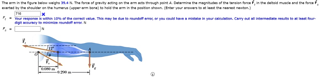 SOLVED: The arm In the figure below welghs 39.4 N: The force of gravity ...