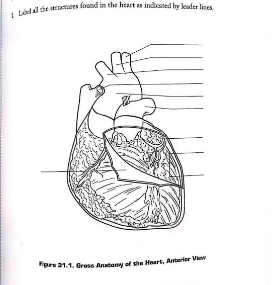 SOLVED: 1. Label all the structures found in the heart as indicated by ...