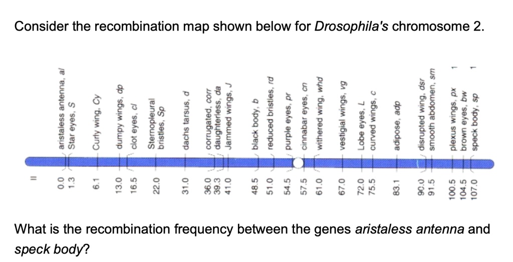 Consider the recombination map shown below for Drosophila's chromosome ...