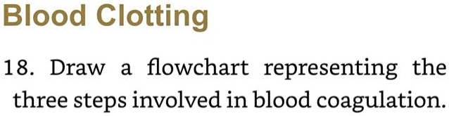 Blood clotting 18 draw a flowchart representing the three...