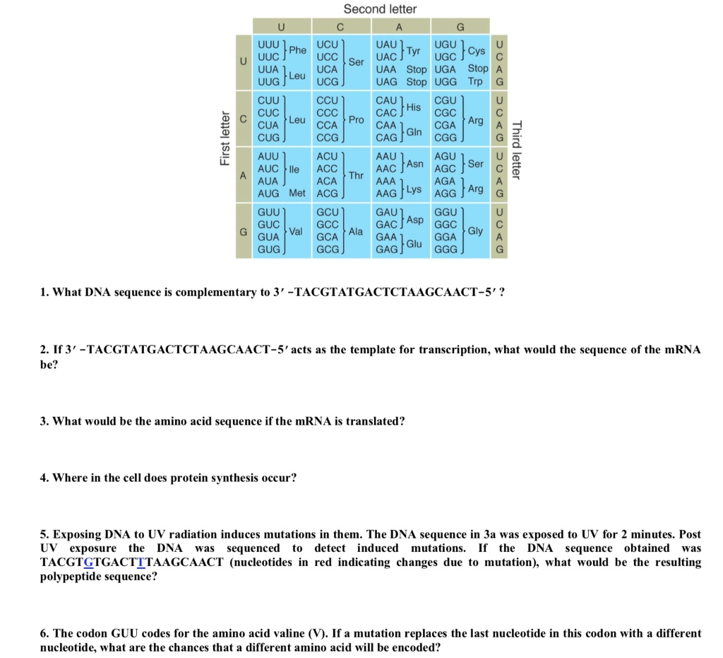 SOLVED:Second letter UUU UCU Phe UAU UGU Tyr Cys UUC UCC UAC UGC Ser ...
