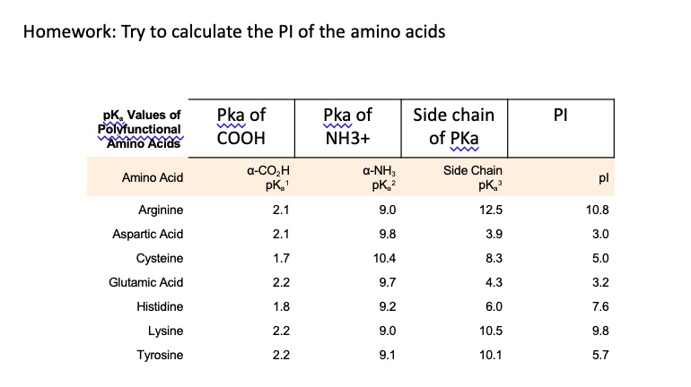 homework try to calculate the pl of the amino acids pk values of polvfunctiona amino acids pka ...