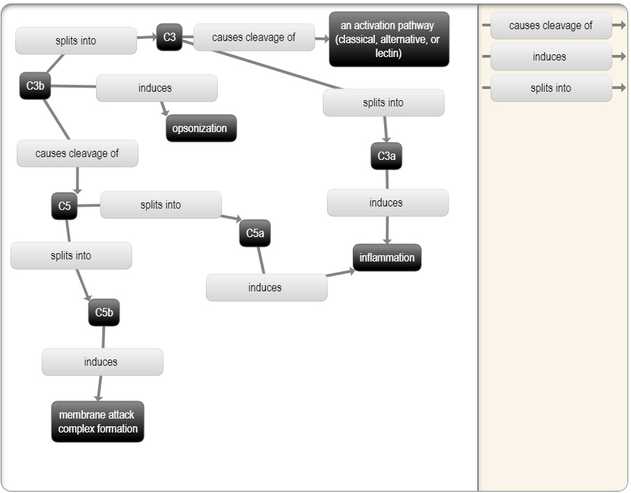 SOLVED: The Complement System Concept Map Design a concept map based on ...