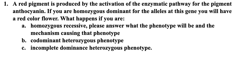 1. A red pigment is produced by the activation of the enzymatic pathway ...