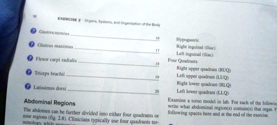Solved Exercise 1 Organs Systems And Organization Of The Body
