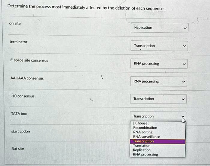 Determine the process most immediately affected by the deletion of each ...