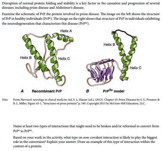 disruption normal protein folding and stability is key factor in the ...