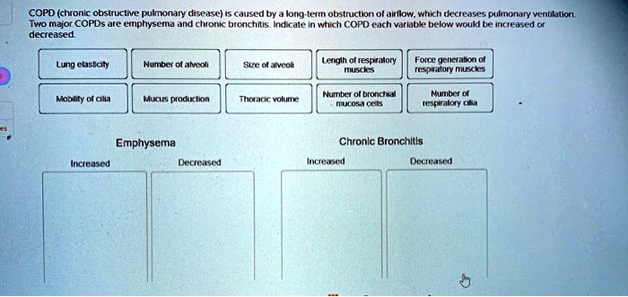 SOLVED: COPD (chronic obstructive pulmonary disease) is caused by a long-term obstruction of ...