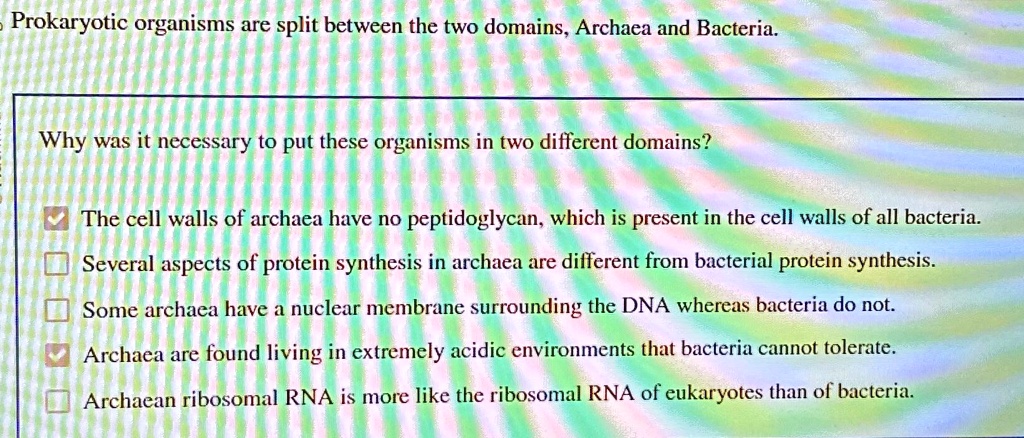 Prokaryotic organisms are split between the two domains, Archaea and ...
