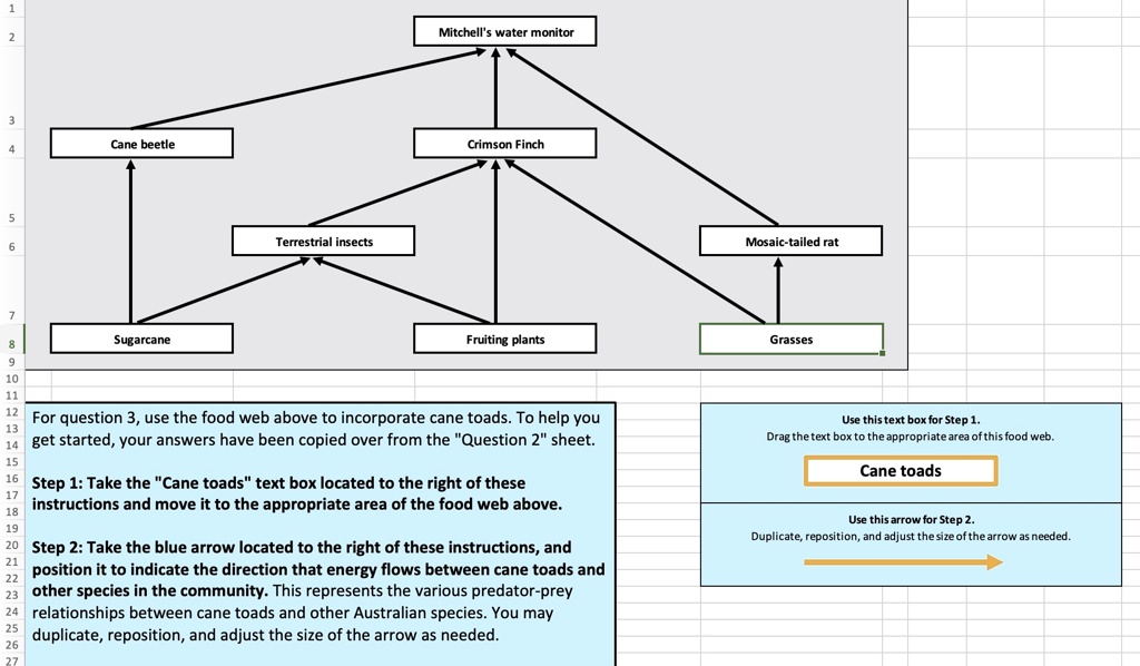 now modify the food web that you constructed add a box to represent the ...