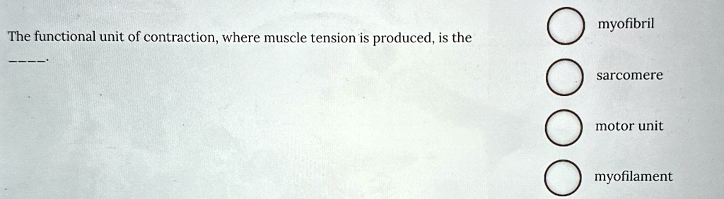The functional unit of contraction, where muscle tension is produced ...
