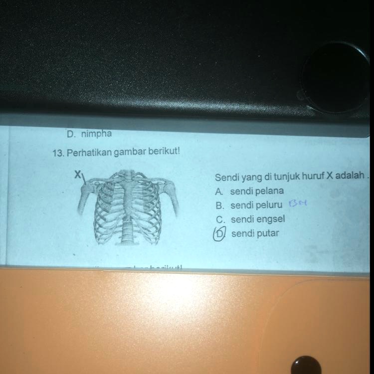 SOLVED: 13. Perhatikan gambar berikut! 5 Peris Sendi yang di tunjuk ...