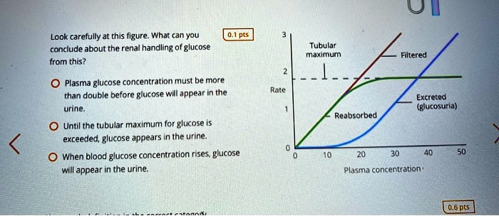 SOLVED: Look carefully at this figure. What can you conclude about the ...