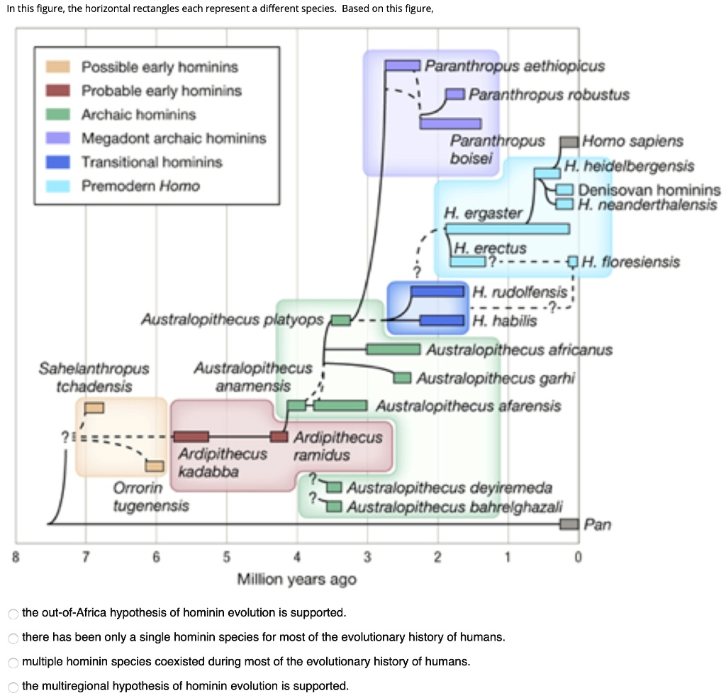 SOLVED: In this figure, the horizontal rectangles each represent ...