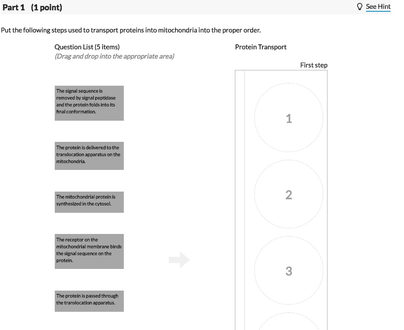 Put the following steps used to transport proteins into...
