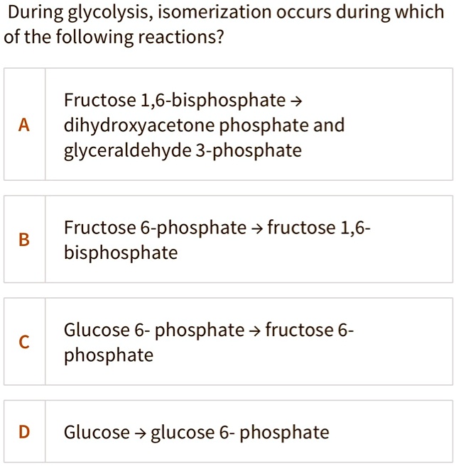 during glycolysis isomerization occurs during which ofthe following ...